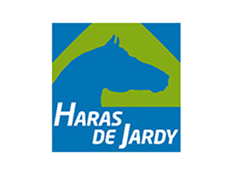 World Sport Timing | Accueil